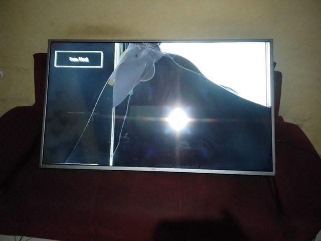 Tela de tv 55 polegadas | +833 anúncios na OLX Brasil