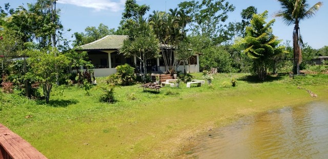 Sítios e chácaras para alugar - Rio Branco, Acre | OLX
