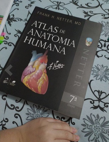 "netter atlas de anatomia" no Brasil