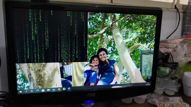 Monitor de pc 19 polegadas | +1221 anúncios na OLX Brasil