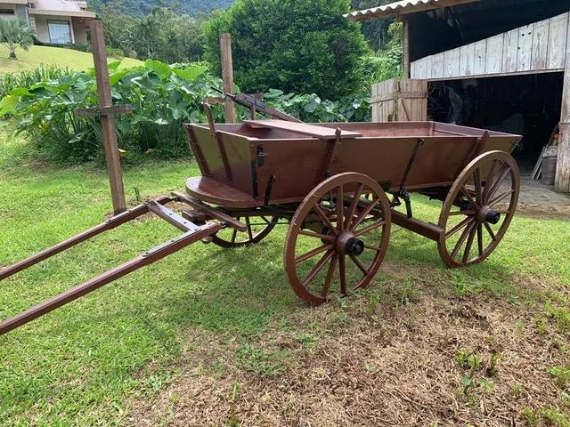 Carroca de madeira | +80 anúncios na OLX Brasil