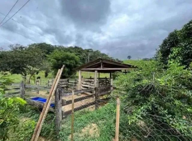 Sítios e chácaras - Linhares, Região de Linhares e São Mateus - ES | OLX