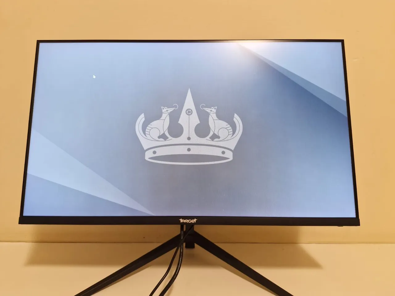 "monitor 165 hz" - Monitores no Brasil