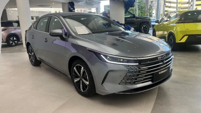 BYD King híbridos Usados e Novos