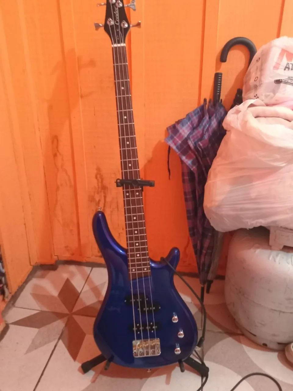 Condor BX 12- CUSTOM Captadores Fleor, Nut de Osso Guyker e Saddles de ...