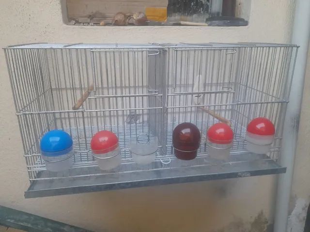 "gaiola 6 comedouros" no Brasil