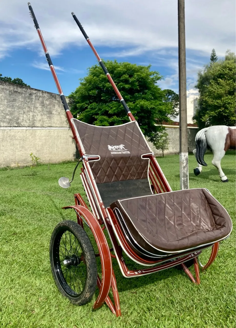 "charrete" no Brasil