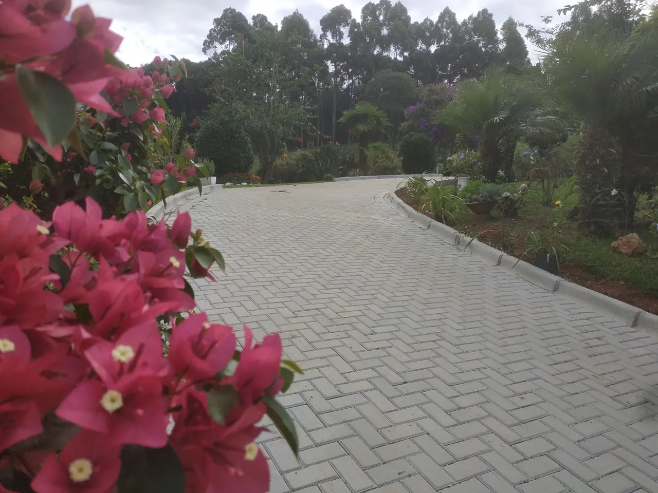 "pavers de concreto" no Brasil