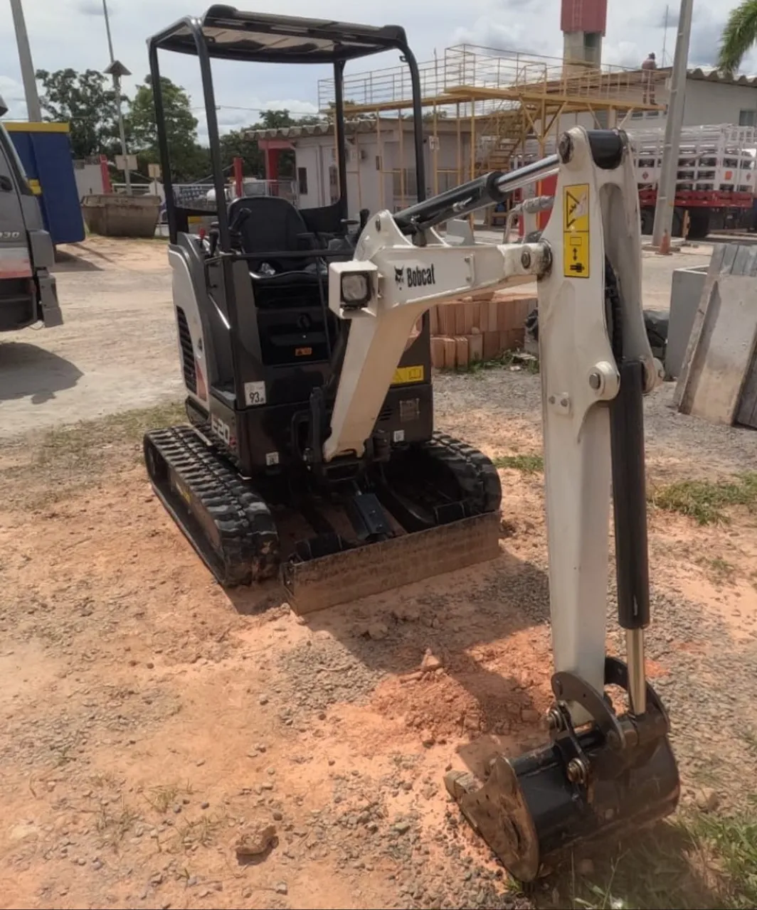 "mini bobcat" no Brasil