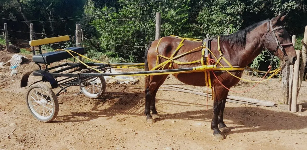 "charrete" no Brasil