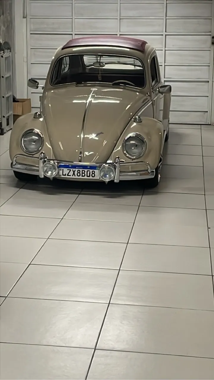 VOLKSWAGEN FUSCA 1969 Usados e Novos