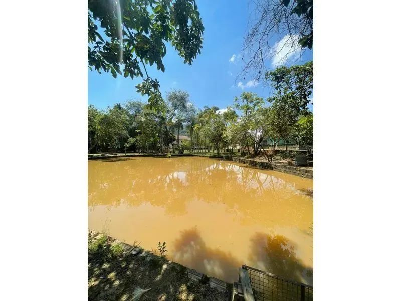 Terreno ASCURRA - SC - Terrenos, sítios e fazendas - Ascurra 1459874738 | OLX