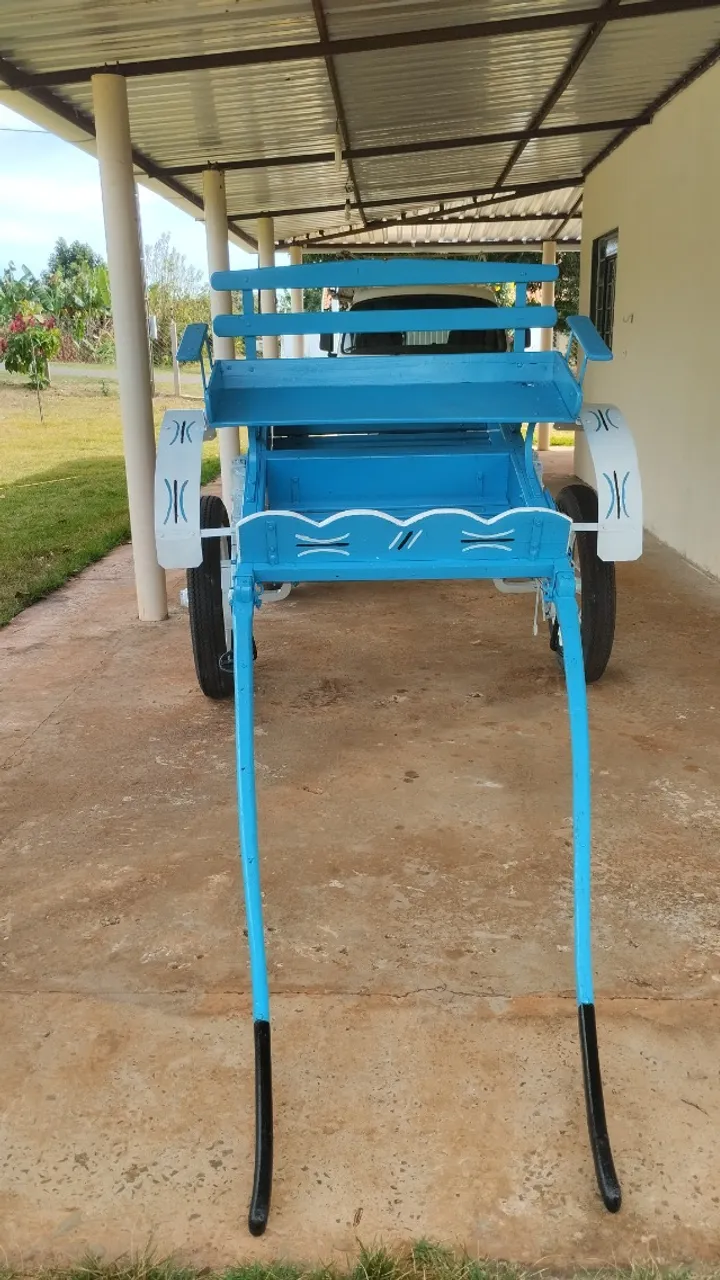 "charetes" no Brasil