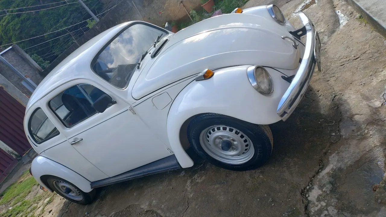 VOLKSWAGEN FUSCA 1981 Usados e Novos