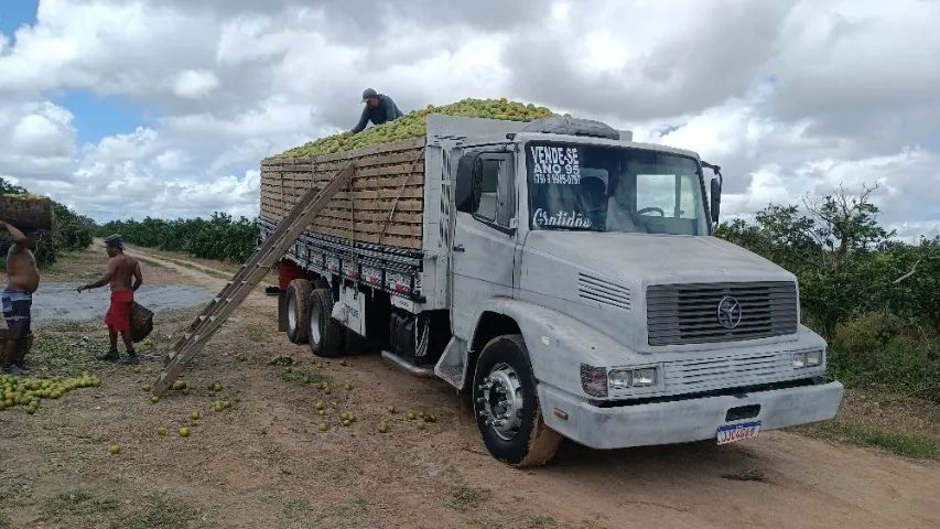 Vende-se 1618 reduzido trabalhando e funcionando - Caminhões - Umbaúba ...