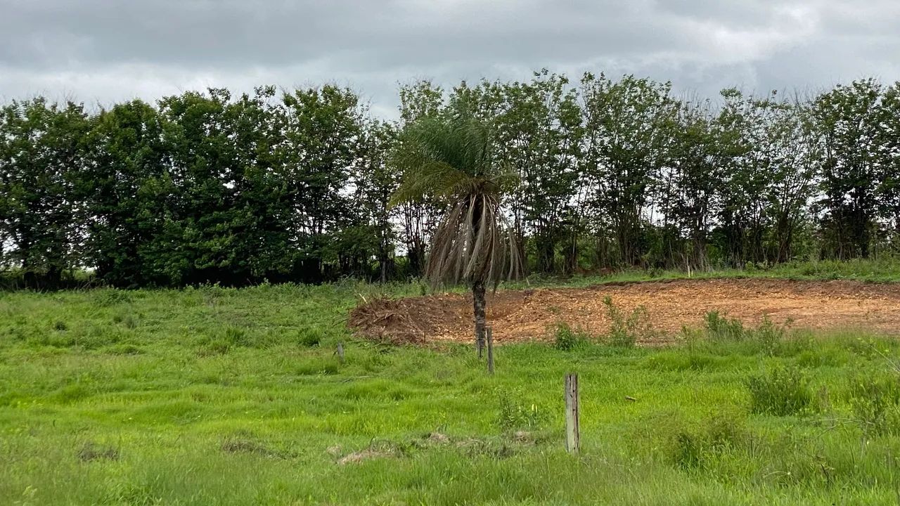 Chácaras de 1.200mt há 28km de Goiânia em trindade! - Terrenos, sítios ...