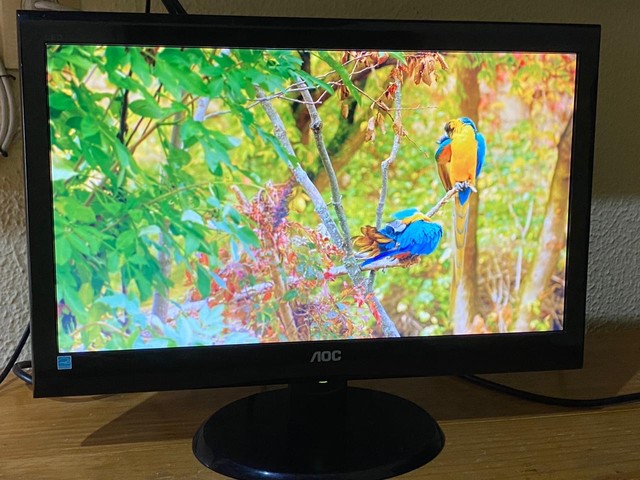 Monitor aoc 20 polegadas led | +85 anúncios na OLX Brasil