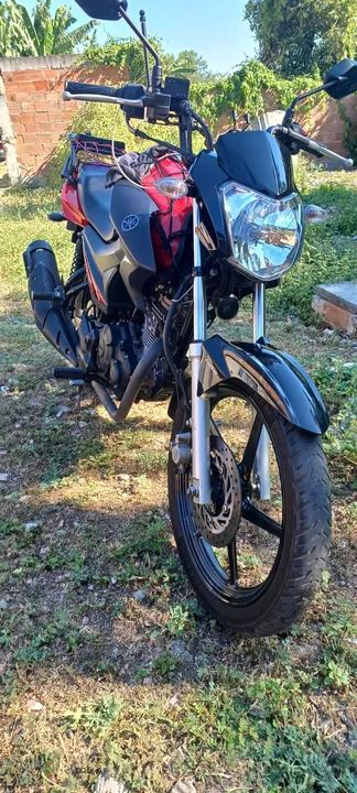 YAMAHA FACTOR 150 ED 2023 - 1386889394 | OLX
