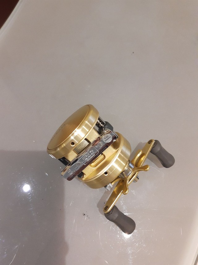 Calcutta | +18 anúncios na OLX Brasil