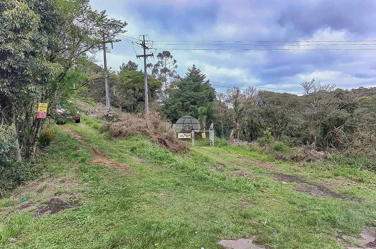Vendas Chácara São José Dos Pinhais PR - Terrenos, sítios e fazendas - Borda do Campo, São José ...