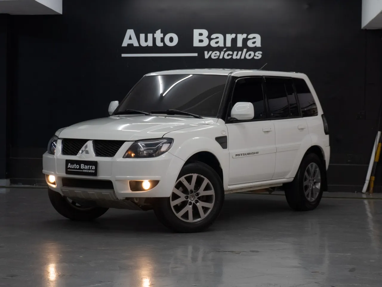 Mitsubishi Pajero TR4 2.0 FLEX 16V 4X2 MEC. Usados e Novos