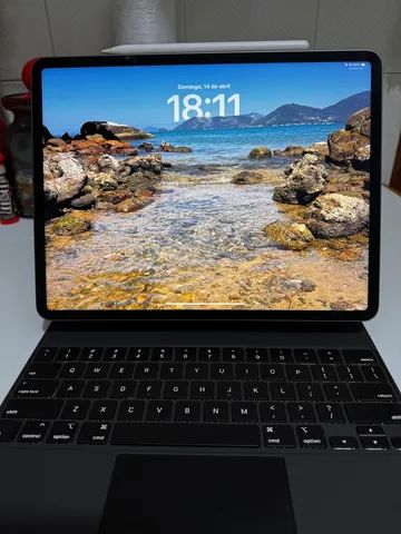 "ipad pro 12 9 256gb" no Brasil