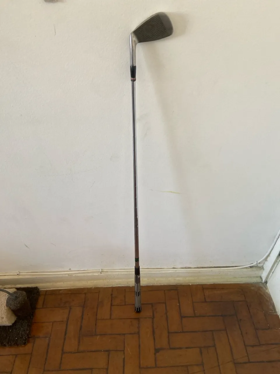 "tacos de golfe" - Esportes de Quadra e Ao Ar Livre no Brasil