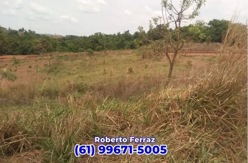 Chácaras Próximo ao Rio Verde, Rio Verde. - Terrenos, sítios e fazendas ...