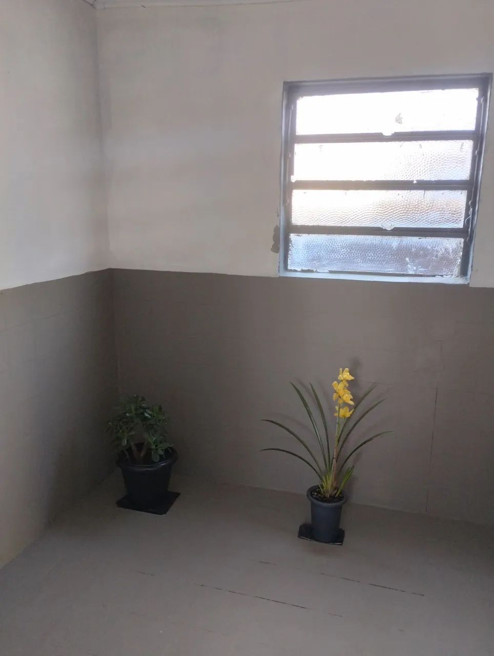 Casa 3 quartos à venda - Wilson, Sant'Ana do Livramento - RS 1468490627 ...