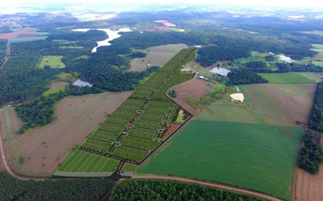 Terrenos, sítios e fazendas - Guatambu, SC | OLX
