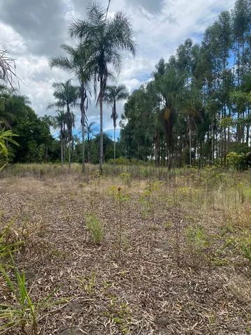 "corrego do atoleiro" no Brasil