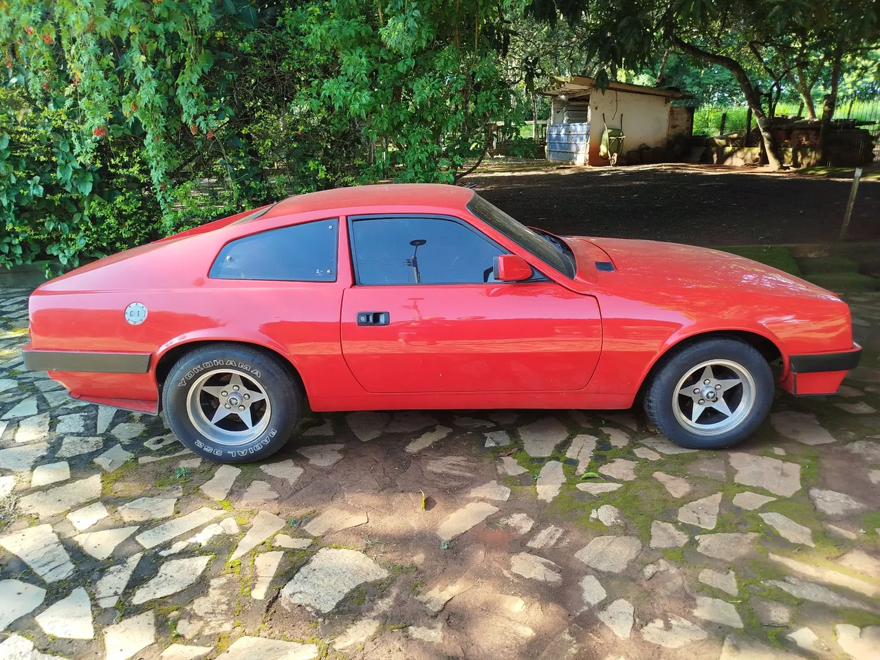 "puma gtb" no Brasil