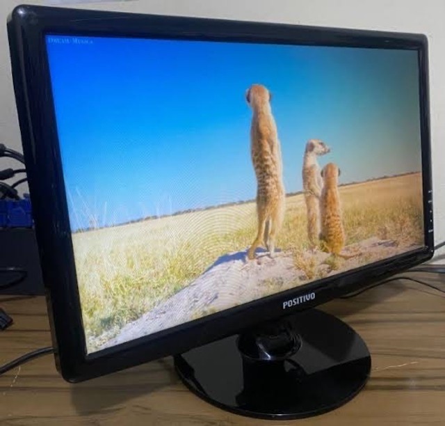 Monitor positivo 19 polegadas | +138 anúncios na OLX Brasil