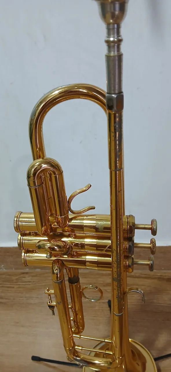 "trompete profissional" - Instrumentos musicais no Brasil