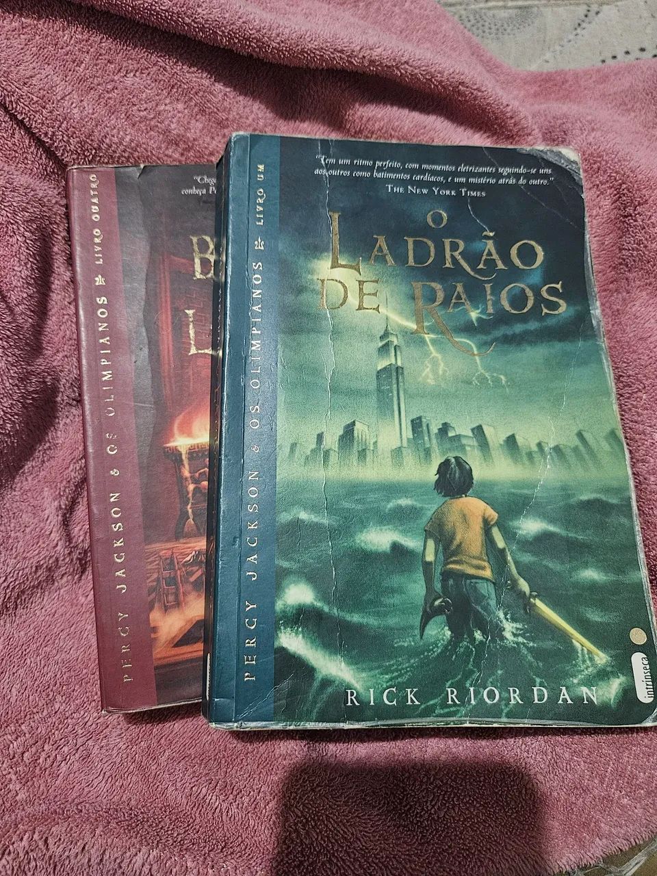 Livros O Ladrão de raios e A Batalha do labirinto Percy Jackson ...