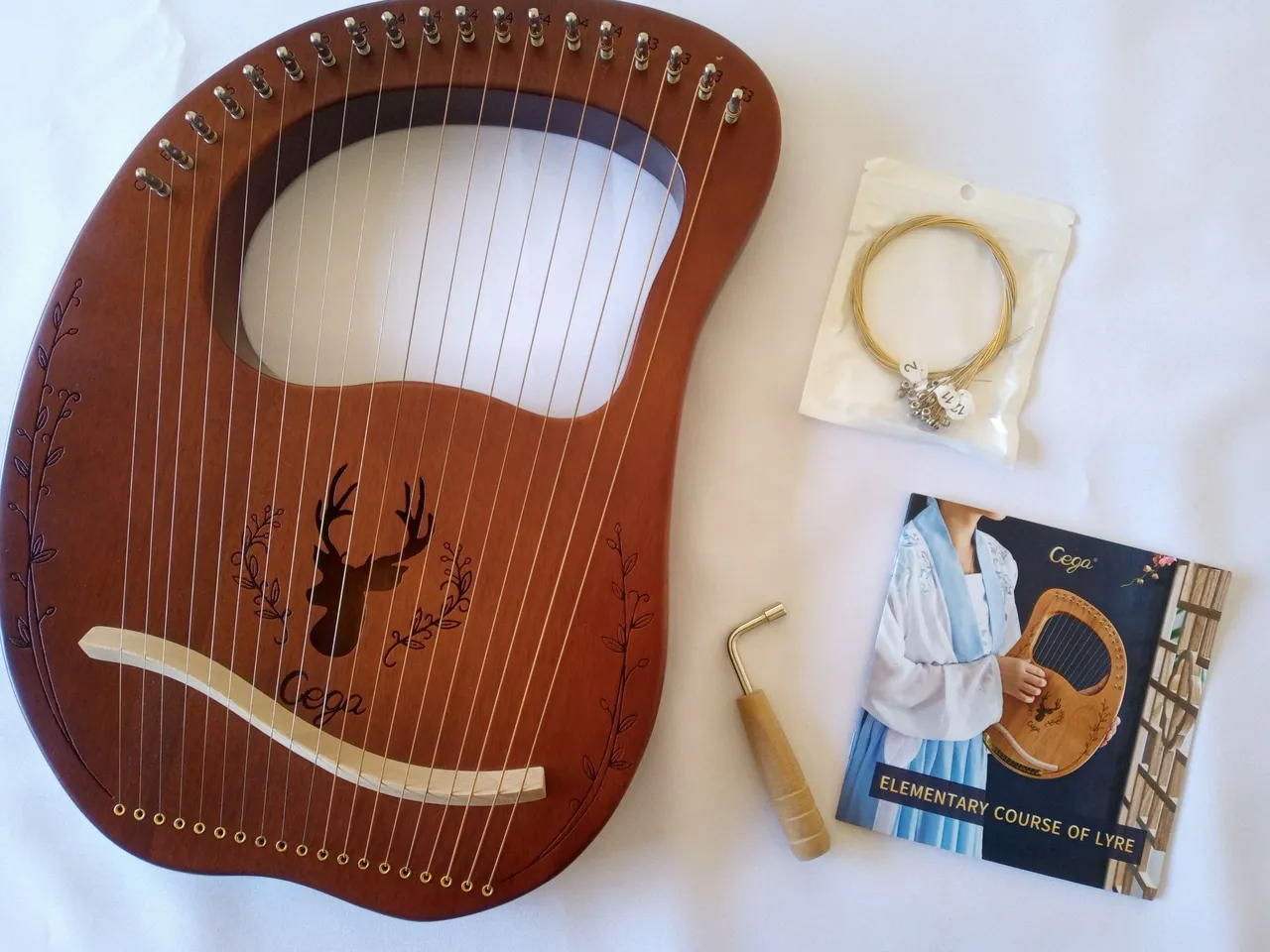 "harpa instrumento" no Brasil