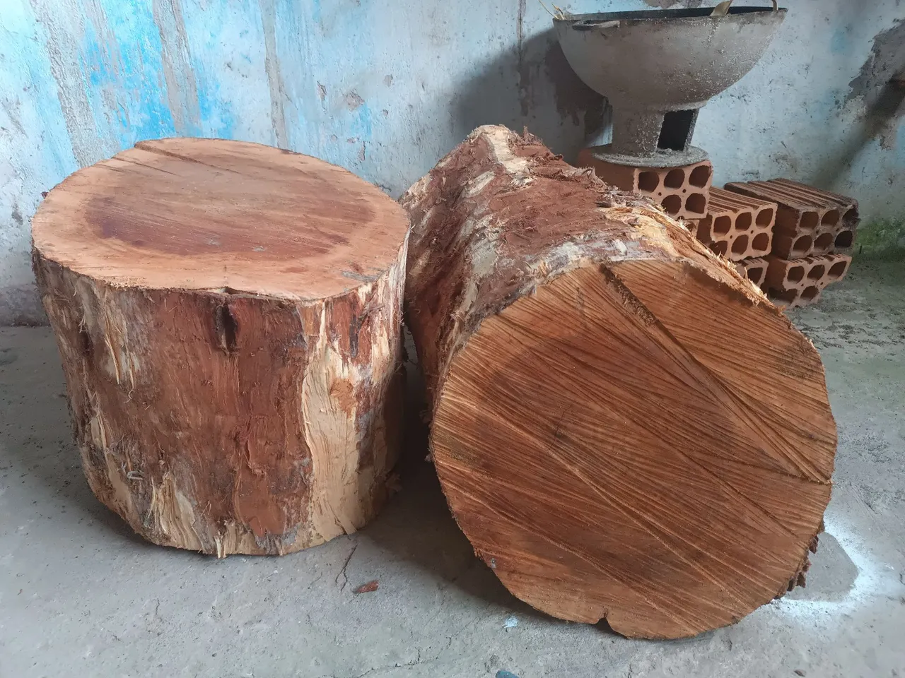 "tora de madeira" no Brasil