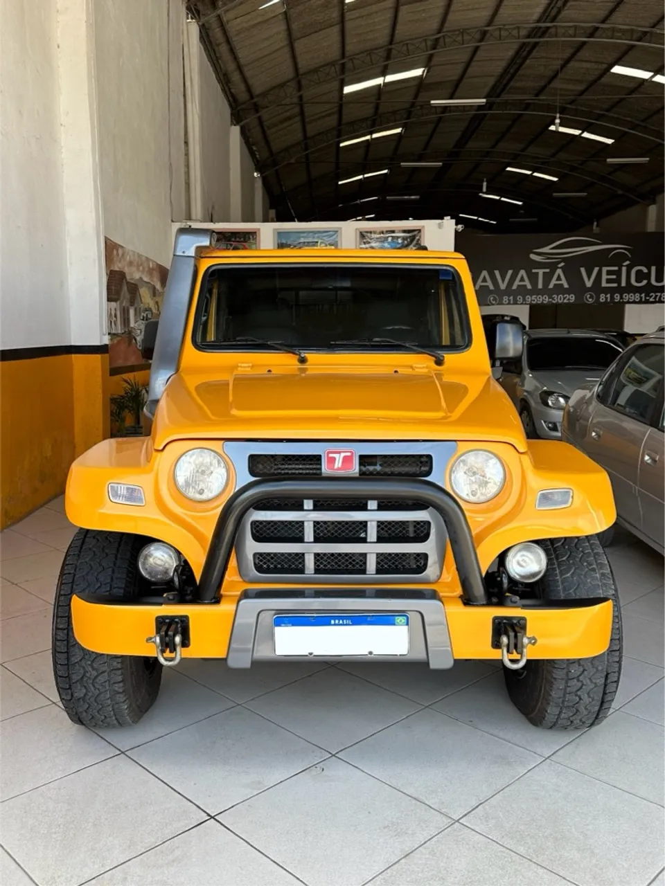 TROLLER T-4 2010 Usados e Novos