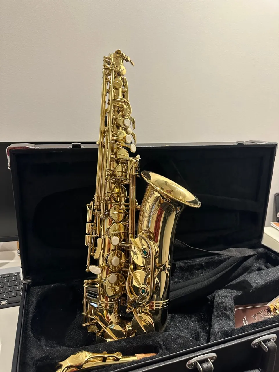 "saxfone alto" no Brasil