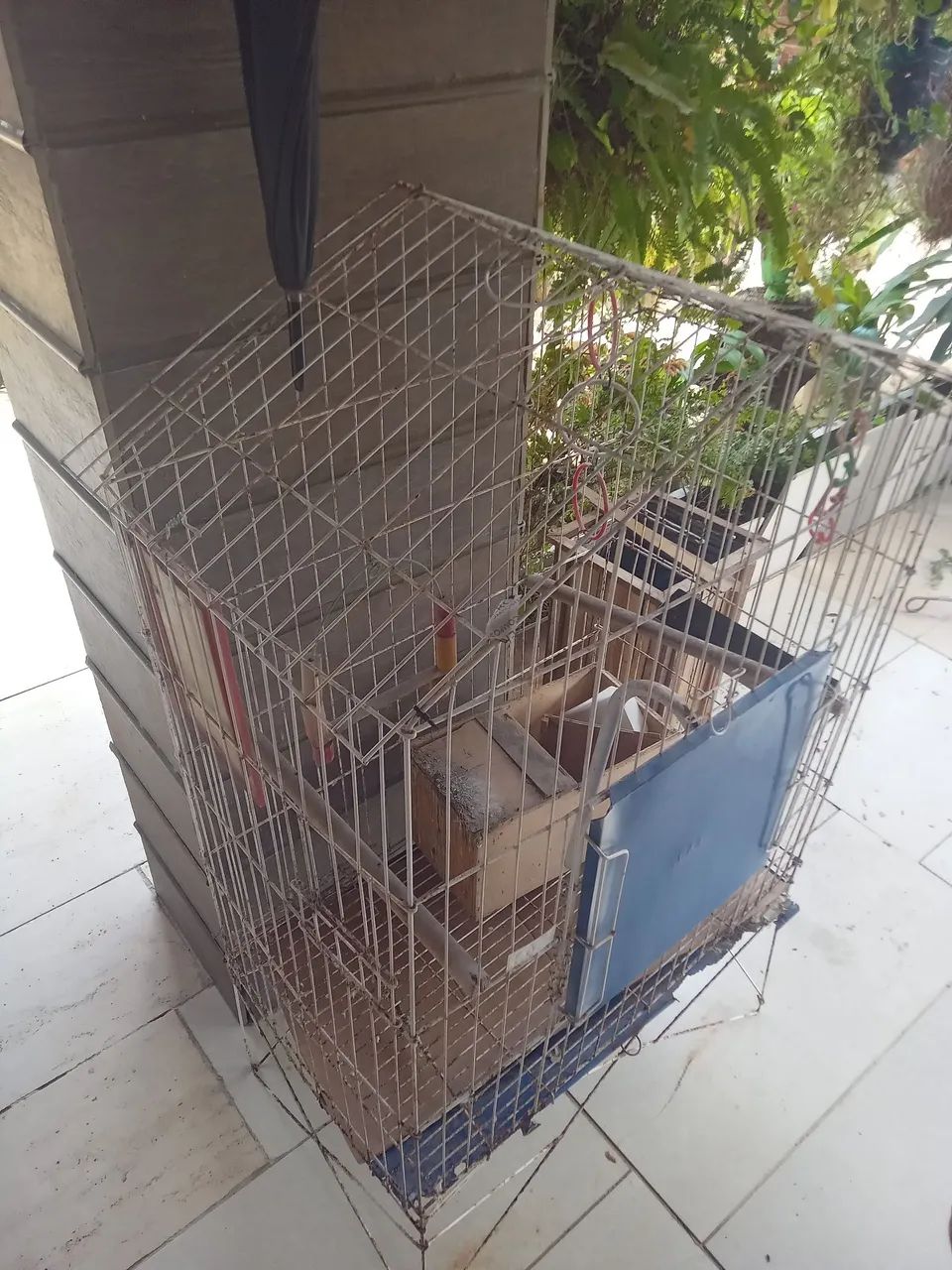 Gaiolas usadas sim, por amigos alados k se foram . Mais é espaçosas aos ...