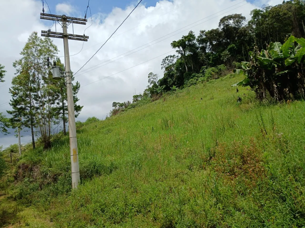 "chacara tapirai" no Brasil