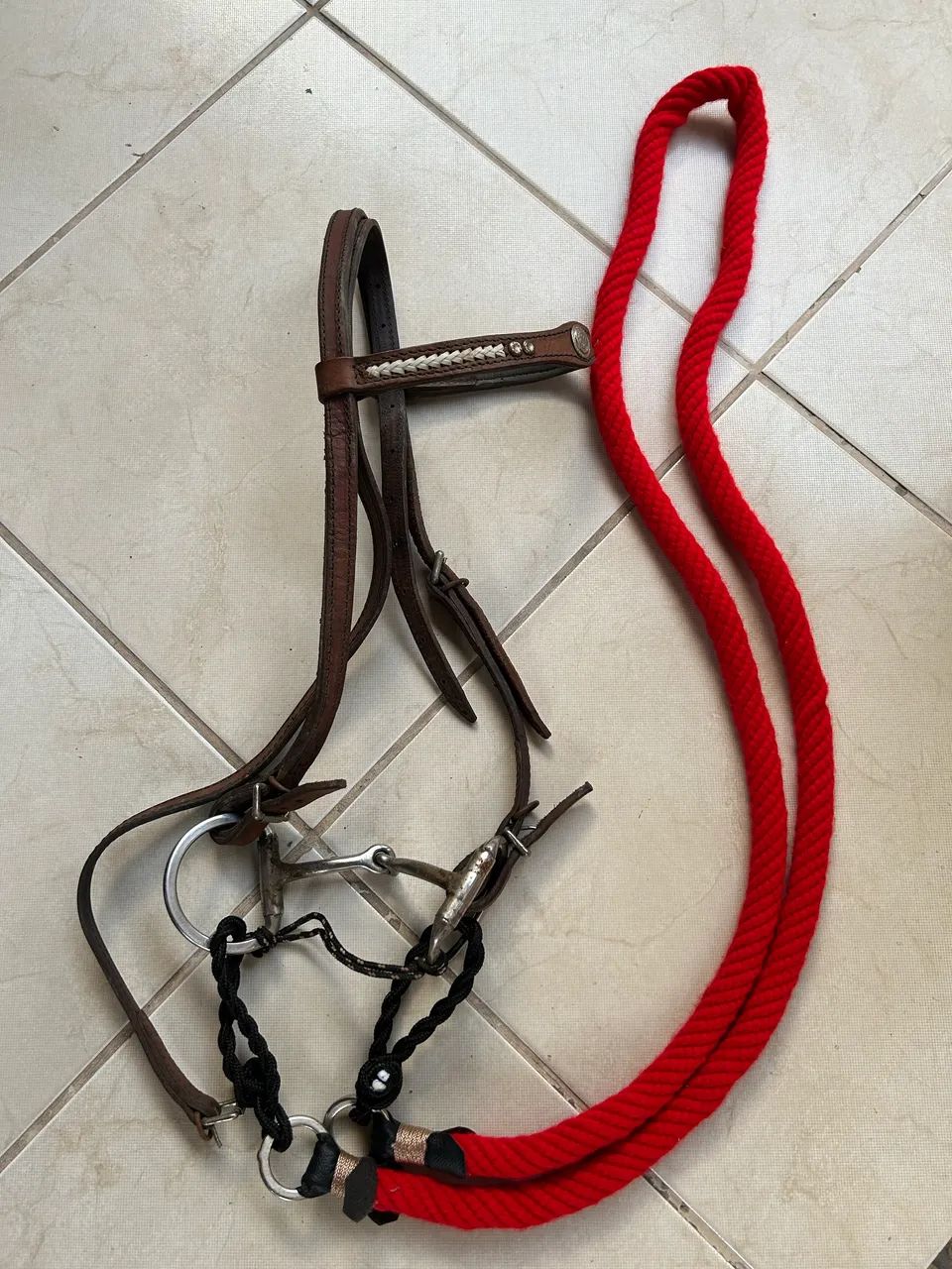 Cabeçada rédea e bridão - Animais para agropecuária - Vila Edmundo ...