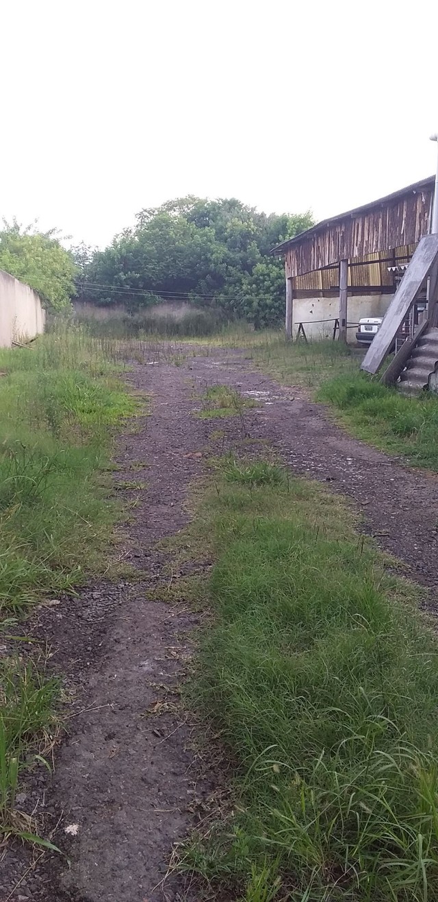 Material de ferragem | +6134 anúncios na OLX Brasil