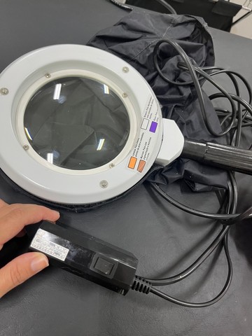 Lupa de wood | +15 anúncios na OLX Brasil