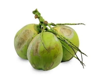 "coco verde" no Brasil