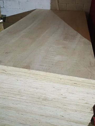 "virola madeira" no Brasil