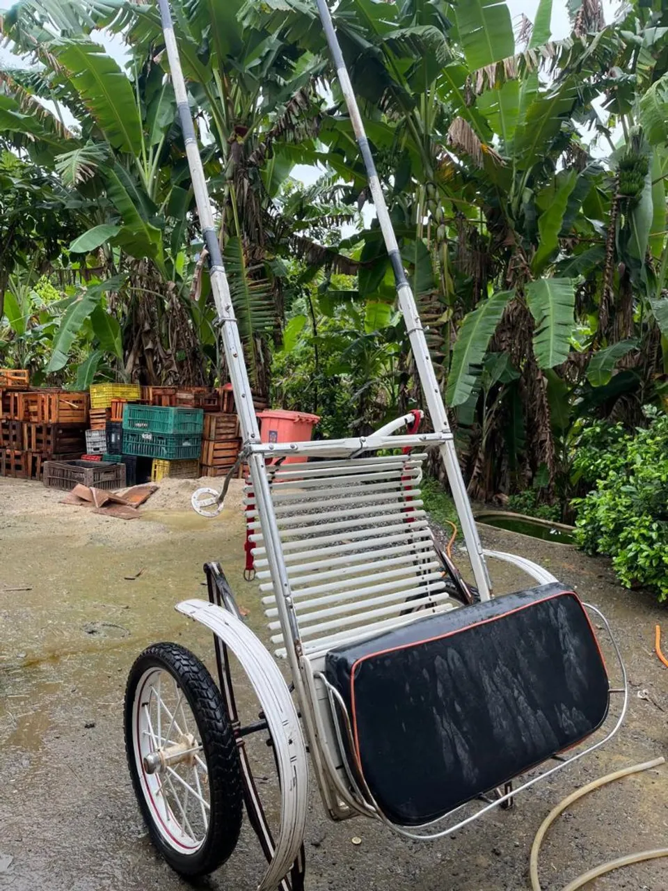 "charrete" no Brasil