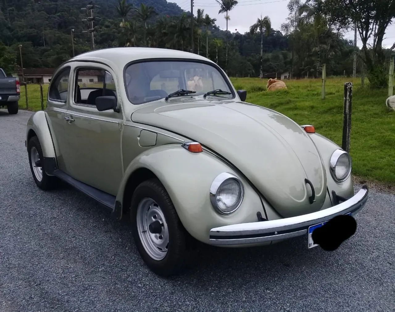 VOLKSWAGEN FUSCA Usados e Novos no Norte de Santa Catarina e região, SC