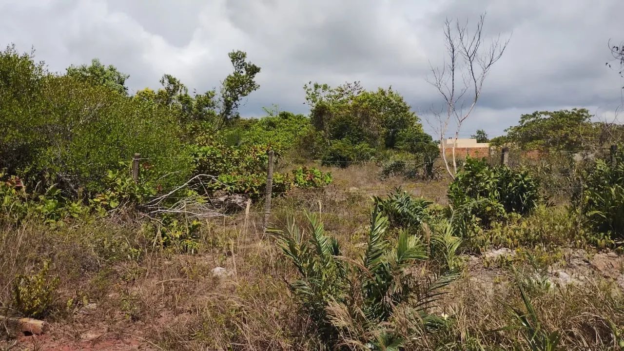 Terreno no Condomínio Lagoas de Guarajuba - Terrenos, sítios e fazendas ...