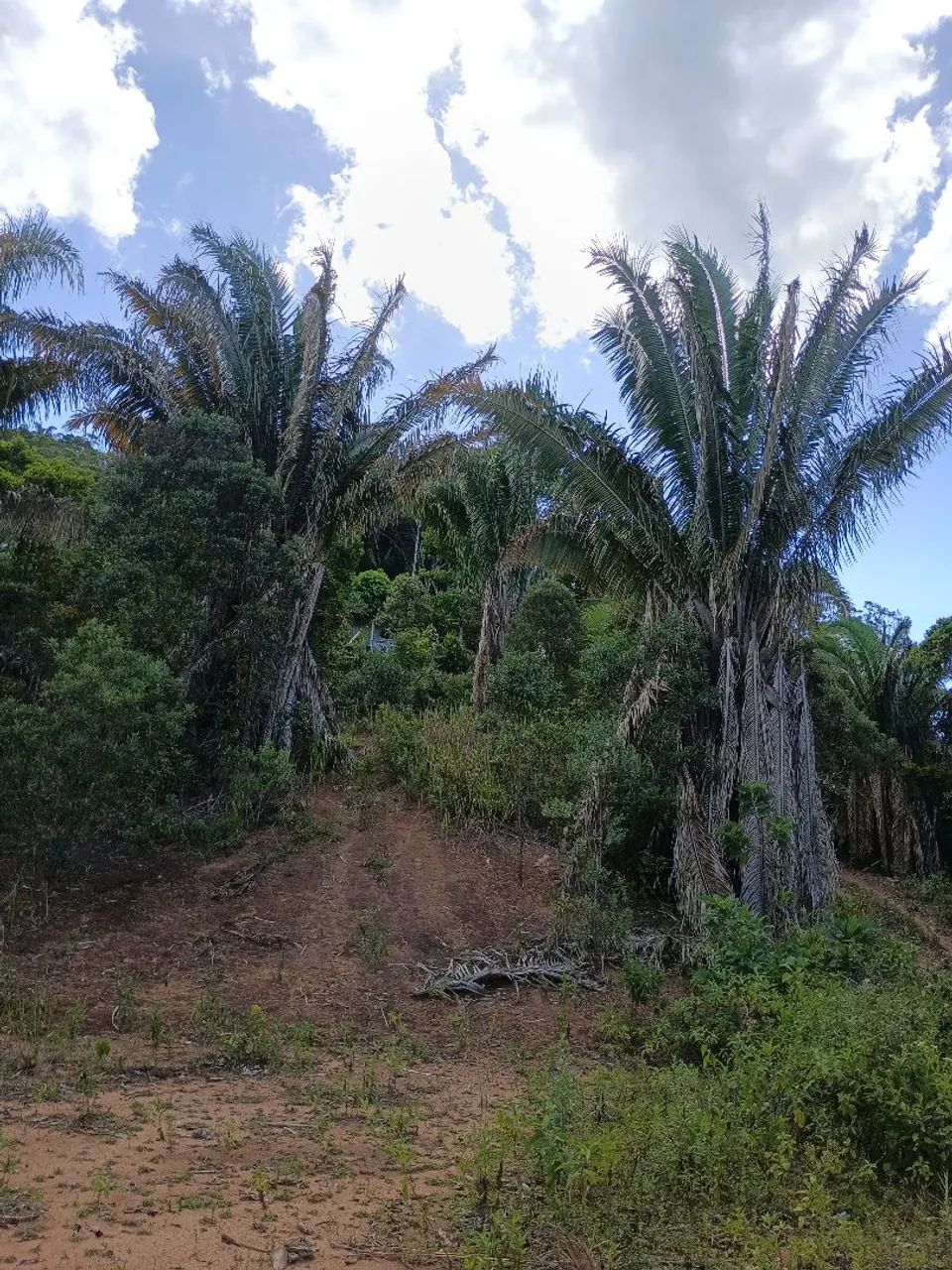 Recanto no alta da montanha em Domingos Martins, terreno muito alto com ...